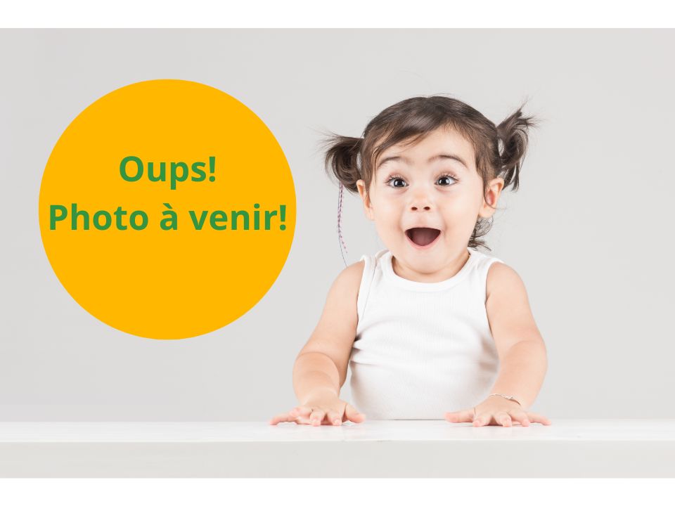 Opuntia vulgaris Variegata – Jardinor